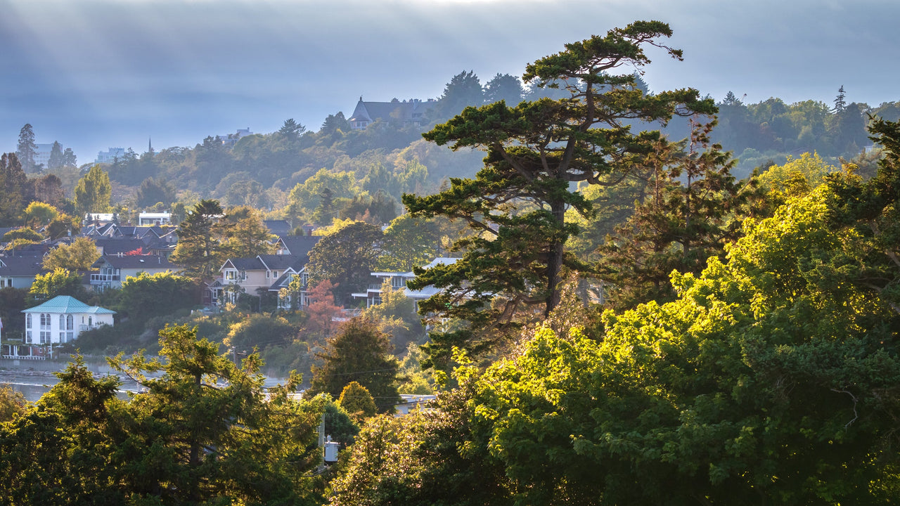 Health Store in Victoria, BC | Triangle Healing | Wellness Products ...